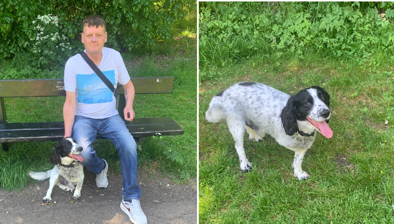 Rudey’s recovery: dog park accident leads to leg amputation