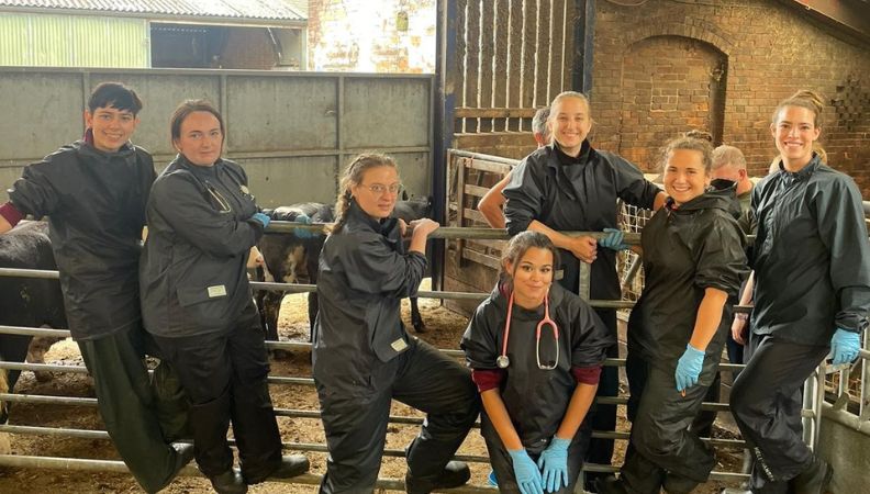 Farm Vets prioritise practical tuition for students at immersive EMS ...