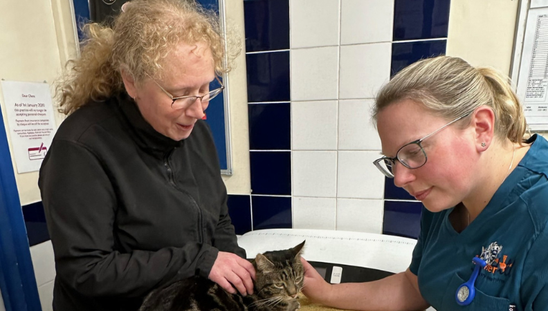 Severe Feline Hypertension found after cat health check