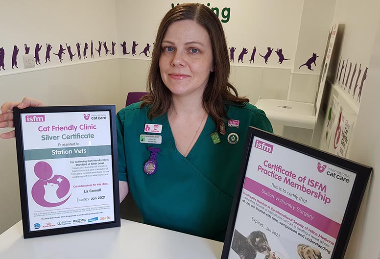 Vale Vets and Referrals awarded Gold Cat Friendly Clinic status by ISFM