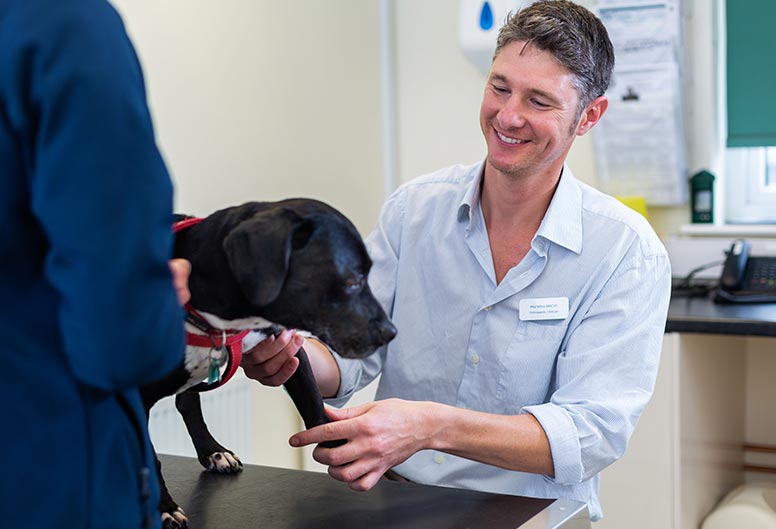 All Change At A30 Referrals all-change-at-a30-referrals