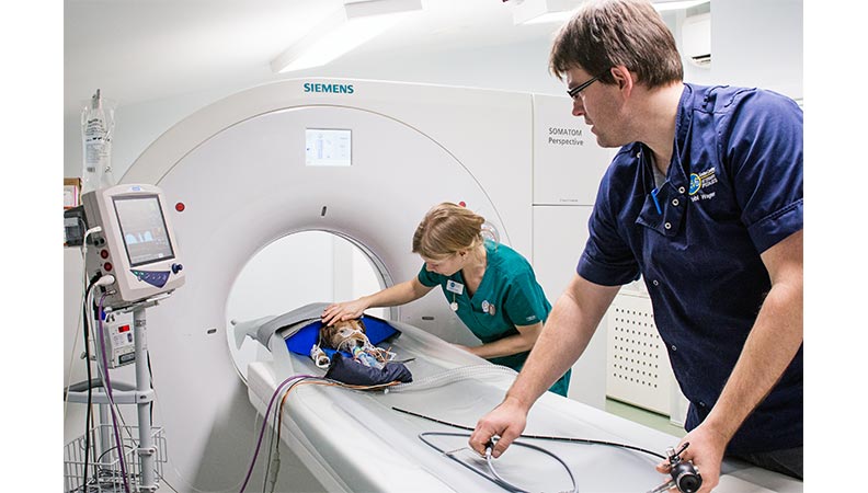 IVC Evidensia announces London Vet Show ‘shake-up’