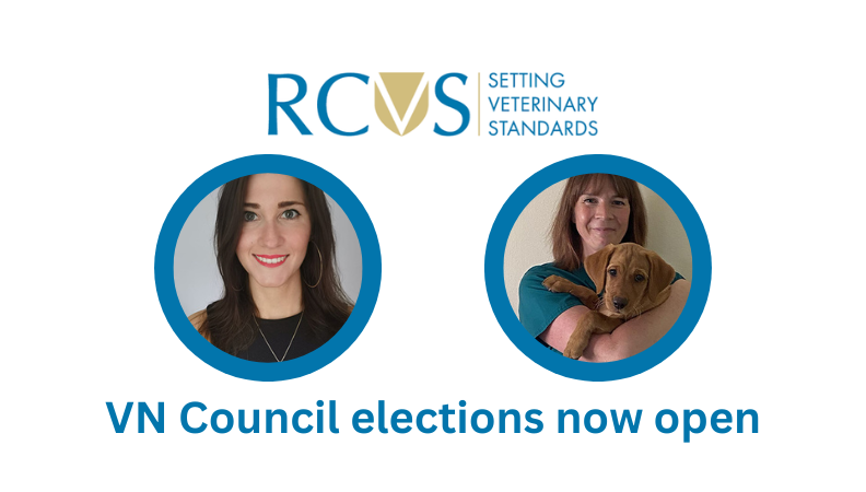 Two IVC Evidensia colleagues in contention for RCVS VN Council ...