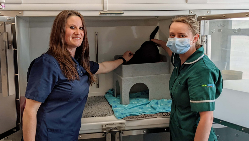 Vale Vets and Referrals awarded Gold Cat Friendly Clinic status by ISFM